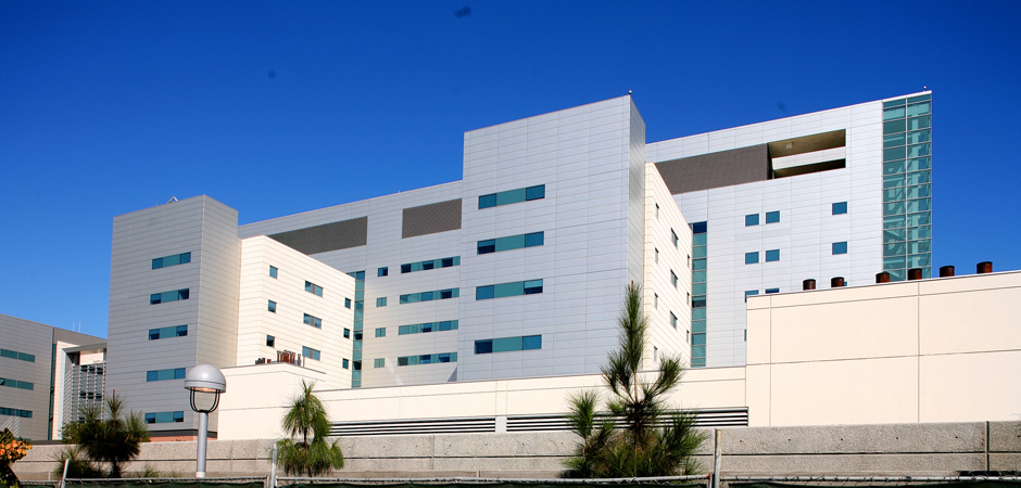 Lac Usc Medical Center