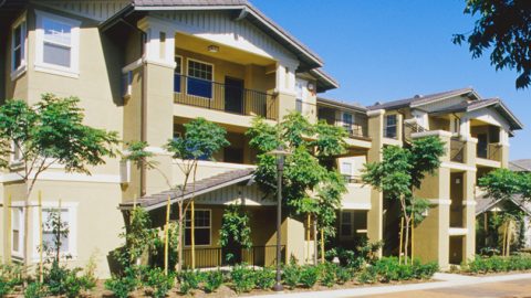 Student & Faculty Housing Archives - Morley Builders